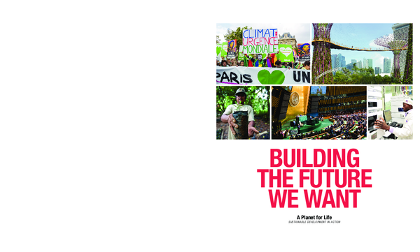 (PDF) Building the future we want