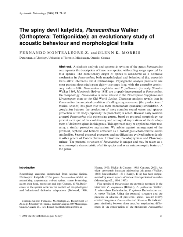 (PDF) The spiny devil katydids, Panacanthus Walker (Orthoptera ...