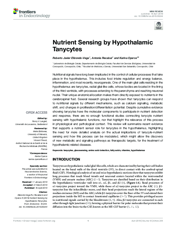 (PDF) Nutrient Sensing by Hypothalamic Tanycytes