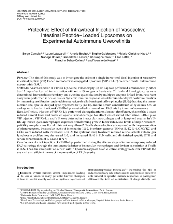 (PDF) Protective Effect of Intravitreal Injection of Vasoactive ...