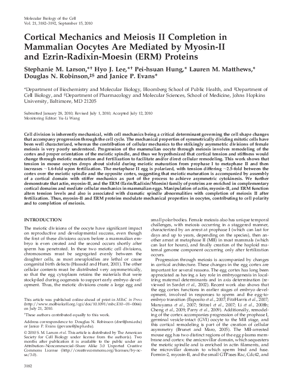 (PDF) Cortical Mechanics and Meiosis II Completion in Mammalian Oocytes ...