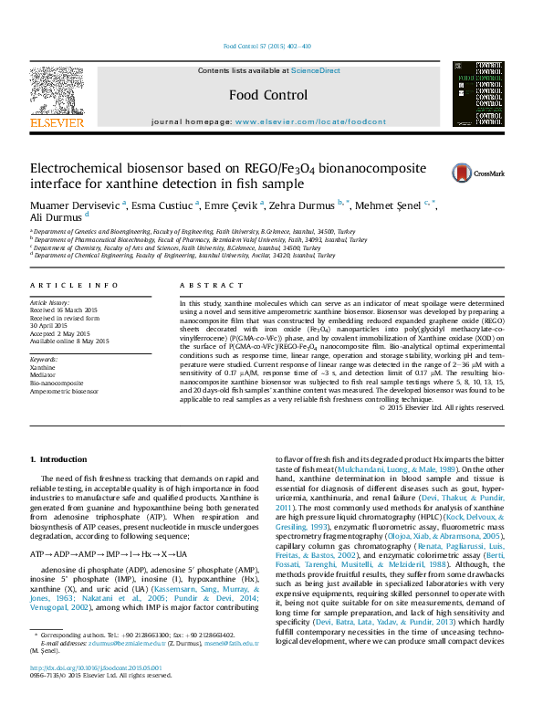 (PDF) Electrochemical biosensor based on REGO/Fe3O4 bionanocomposite ...