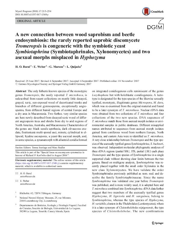 (PDF) A new connection between wood saprobism and beetle endosymbiosis ...