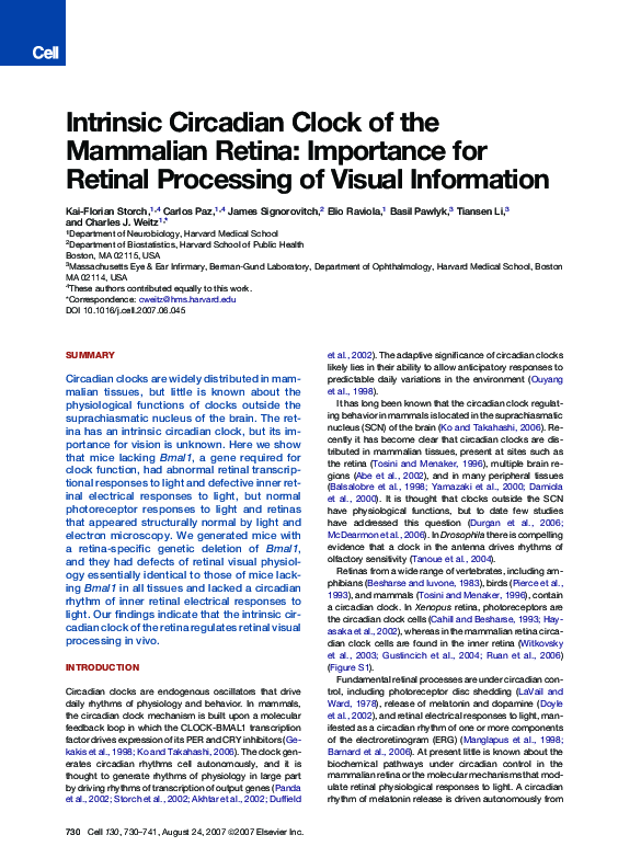 (PDF) Intrinsic Circadian Clock of the Mammalian Retina: Importance for ...
