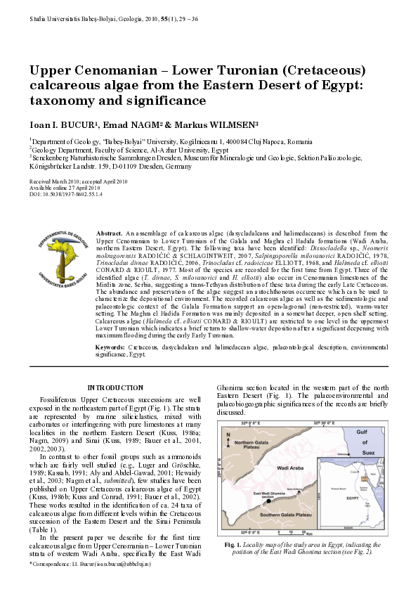 Pdf Upper Cenomanian Lower Turonian Cretaceous Calcareous Algae From The Eastern Desert Of