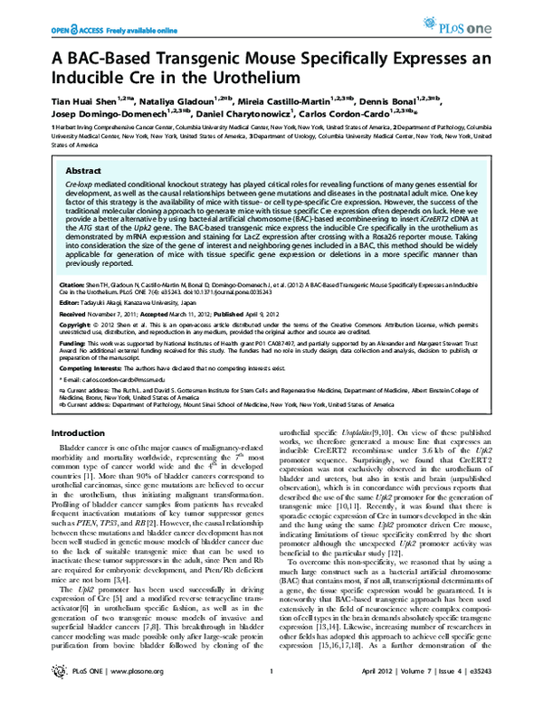 (PDF) A BAC-Based Transgenic Mouse Specifically Expresses an Inducible ...