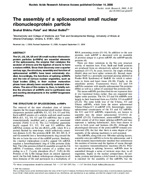 (PDF) The assembly of a spliceosomal small nuclear ribonucleoprotein ...