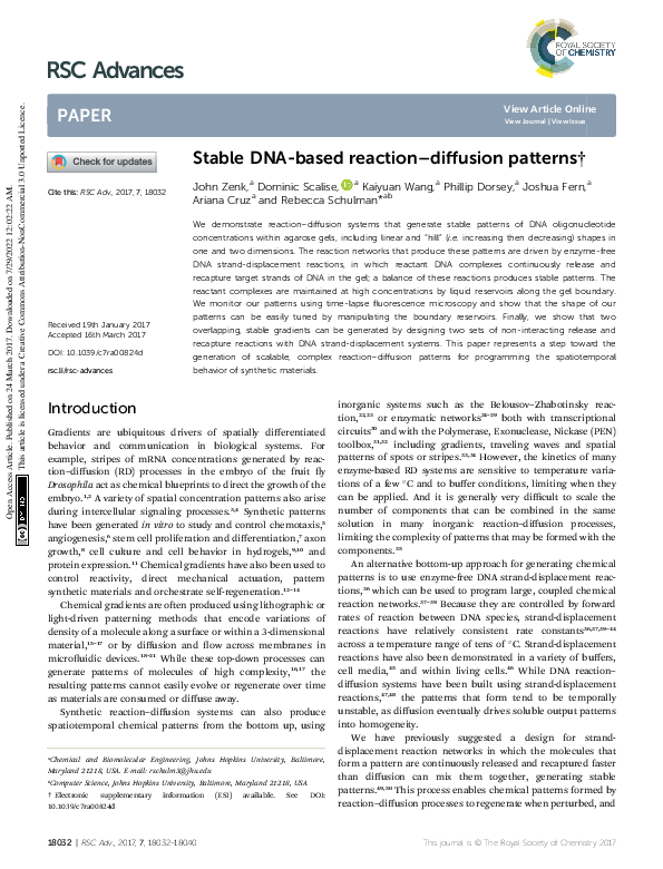 (PDF) Stable DNA-based reaction–diffusion patterns