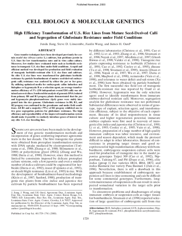 (PDF) High Efficiency Transformation of U.S. Rice Lines from Mature ...