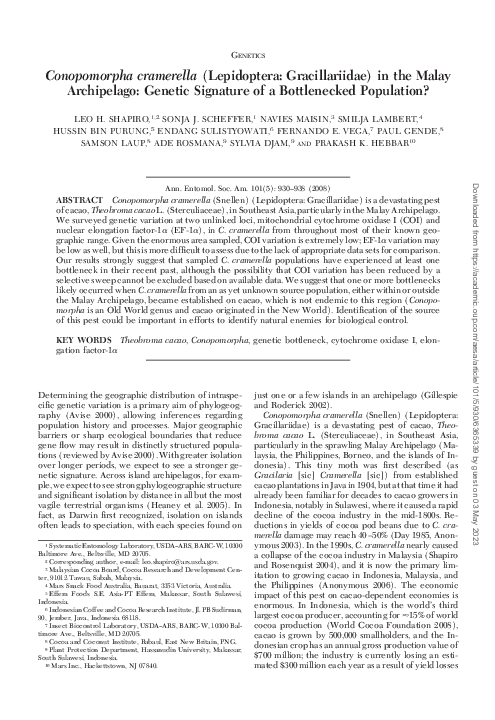 (PDF) Conopomorpha cramerella (Lepidoptera: Gracillariidae) in the ...