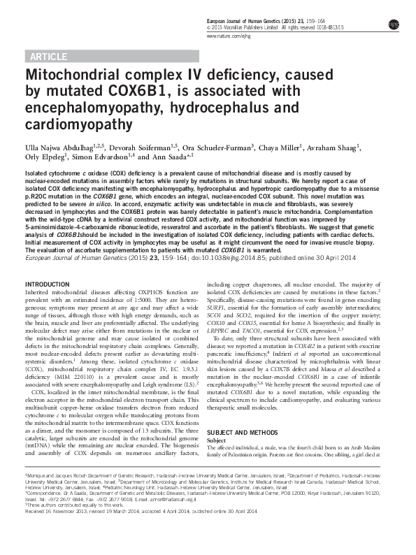 (PDF) Mitochondrial complex IV deficiency, caused by mutated COX6B1, is ...