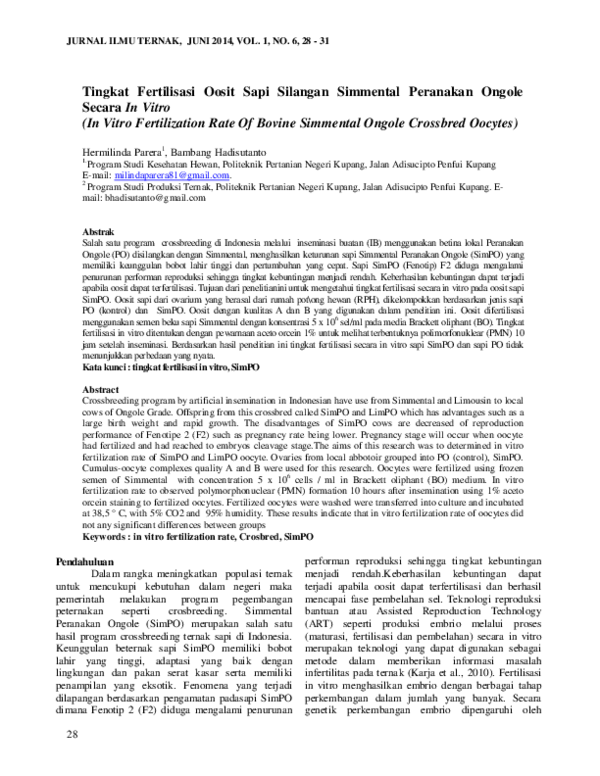 (PDF) Tingkat Fertilisasi Oosit Sapi Silangan Simmental Peranakan ...