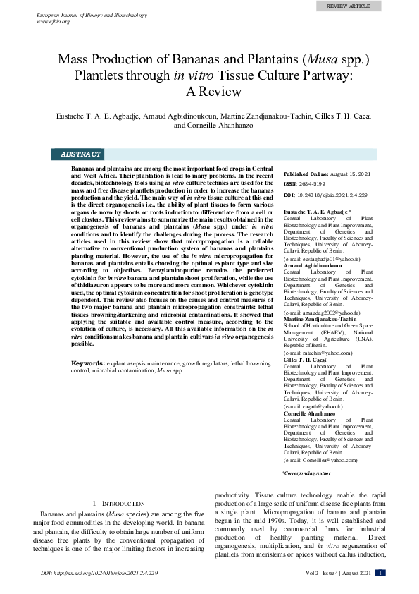 (PDF) Mass Production of Bananas and Plantains (Musa spp.) Plantlets ...