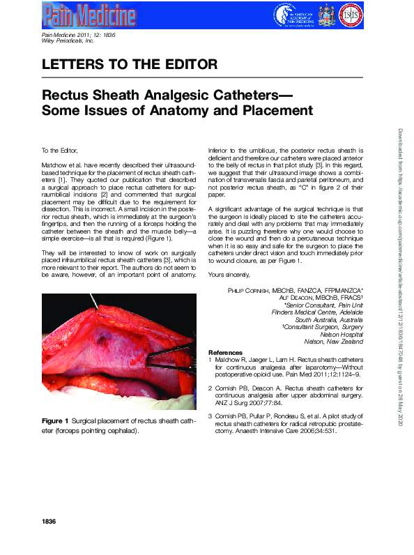 (PDF) Rectus Sheath Analgesic Catheters-Some Issues of Anatomy and ...
