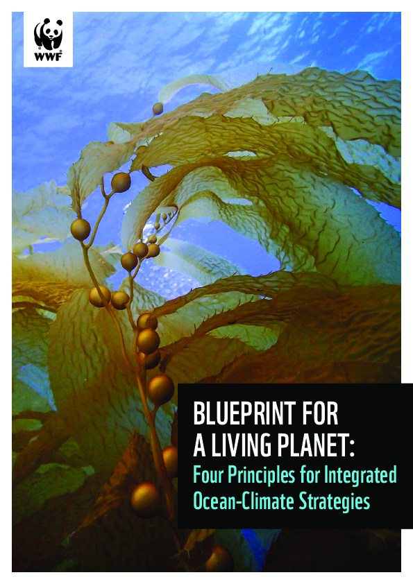 (PDF) Blueprint for a Living Planet:Four Principles for Integrated ...