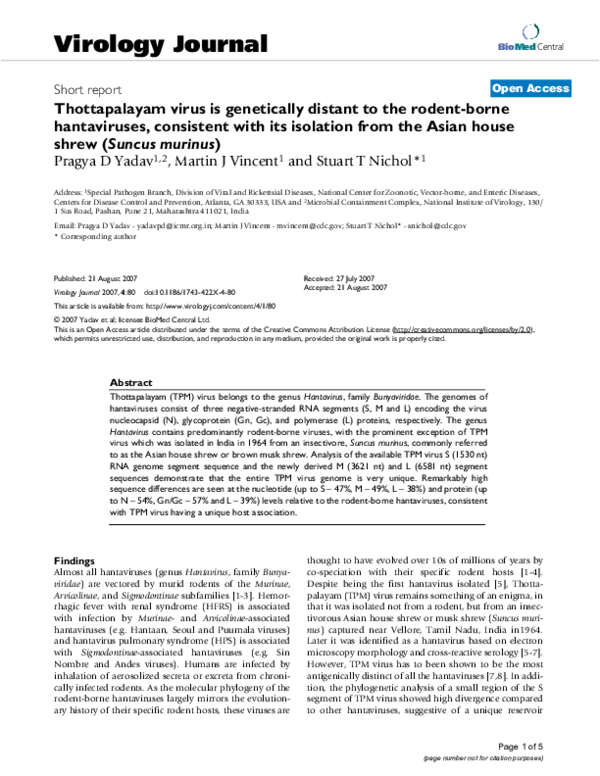 (PDF) Thottapalayam virus is genetically distant to the rodent-borne ...