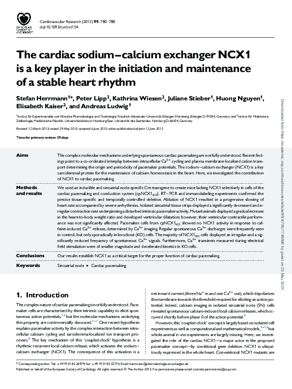 (PDF) The cardiac sodium–calcium exchanger NCX1 is a key player in the ...