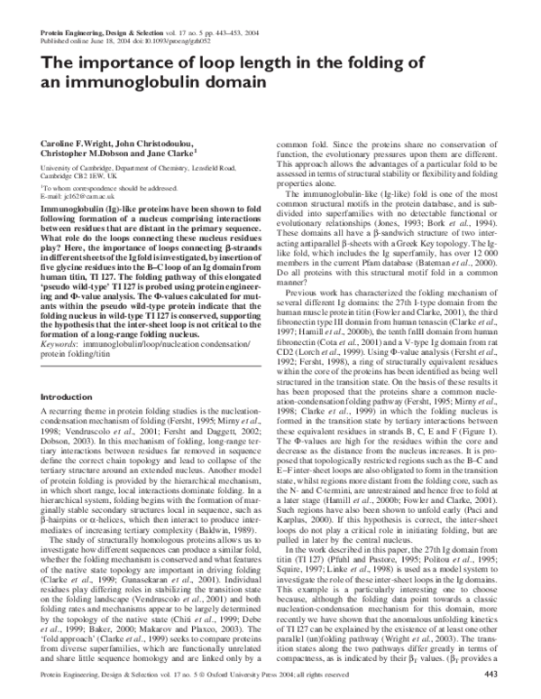 (PDF) The importance of loop length in the folding of an immunoglobulin ...