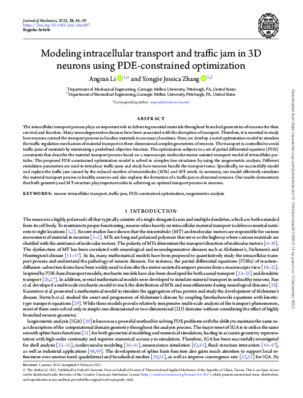 (PDF) Modeling intracellular transport and traffic jam in 3D neurons ...