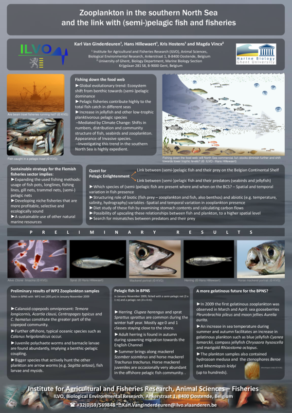 (PDF) Zooplankton in the southern North Sea and the link with (semi ...