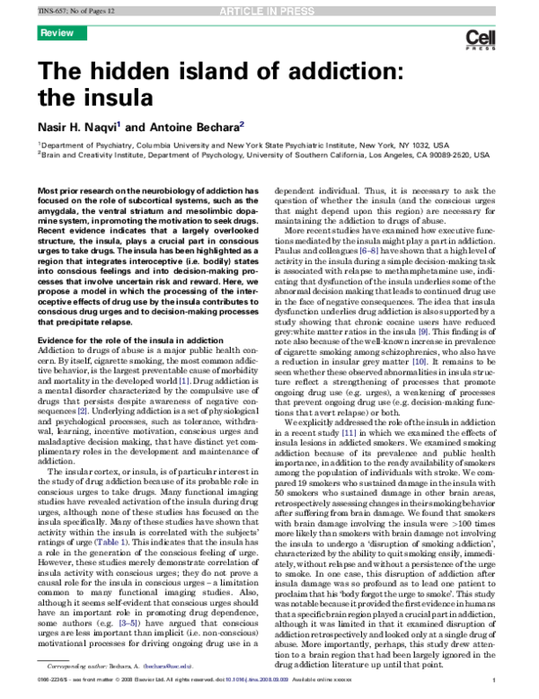 (PDF) The hidden island of addiction: the insula