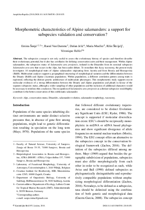 (PDF) Morphometric characteristics of Alpine salamanders: a support for ...
