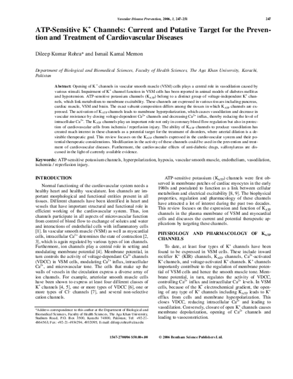 (PDF) ATP-Sensitive K+ Channels: Current and Putative Target for the ...
