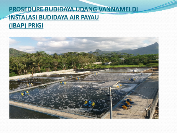 (PPT) Budidaya Udang Vannamei IBAP Prigi