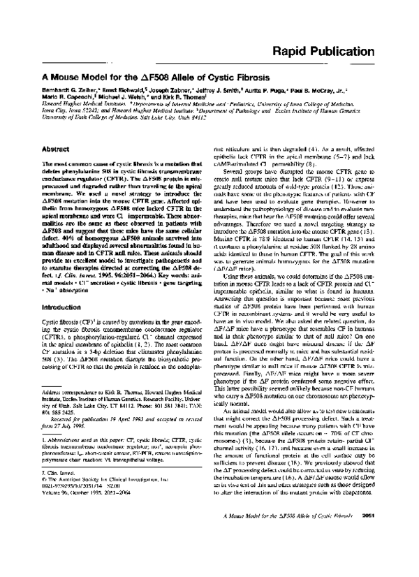 A mouse model for the delta F508 allele of cystic fibrosis