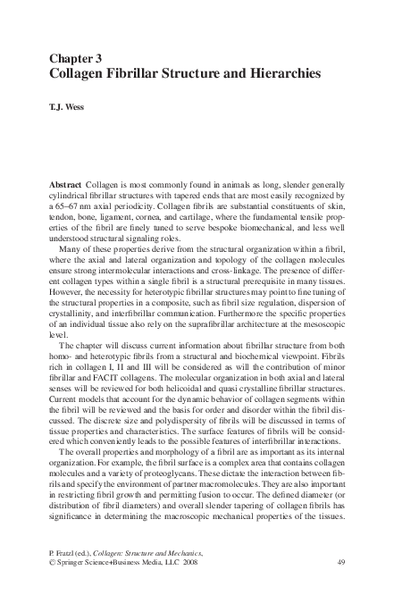 (PDF) Collagen Fibrillar Structure and Hierarchies