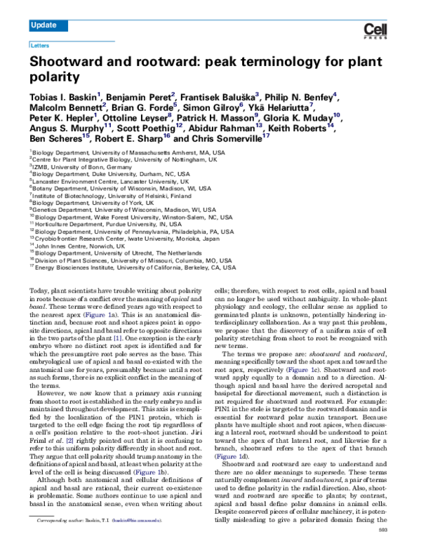 (PDF) Shootward and rootward: peak terminology for plant polarity