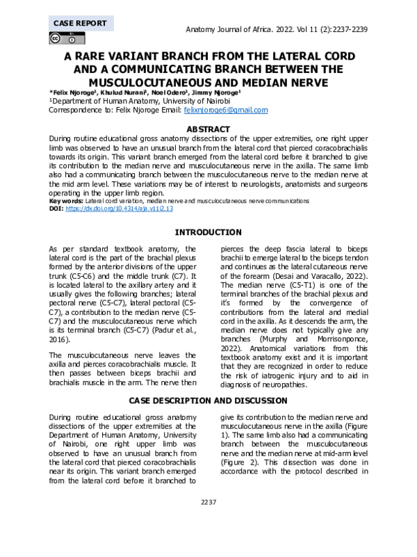 (PDF) A rare variant branch from the lateral cord and a communicating ...