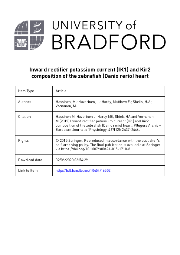 (PDF) Inward rectifier potassium current (I K1) and Kir2 composition of ...