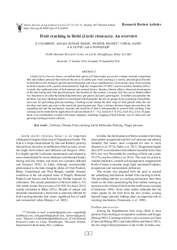(PDF) Fruit cracking in litchi (Litchi chinensis): An overview