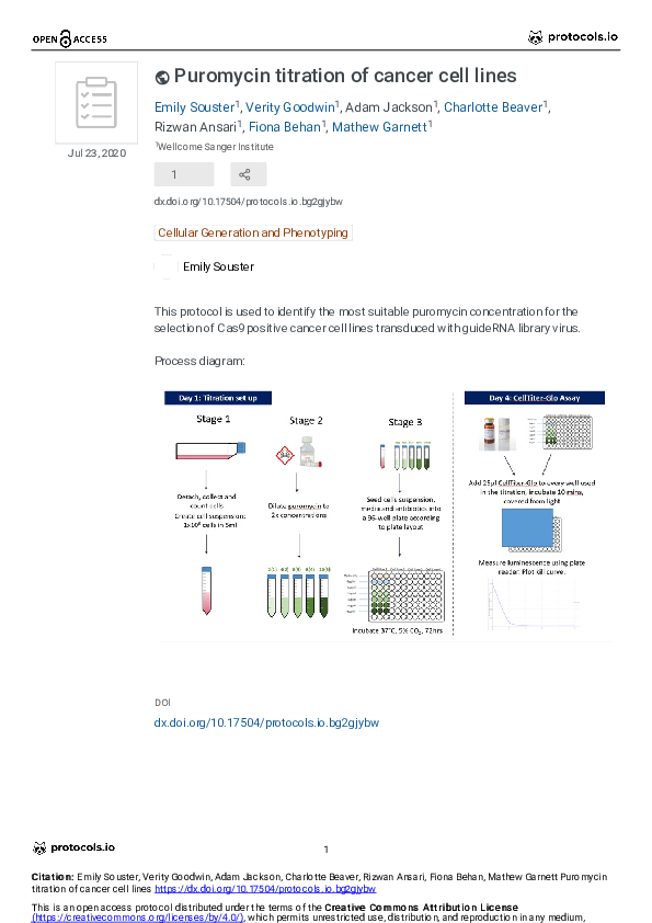 (PDF) Puromycin titration of cancer cell lines v1 (protocols.io.bg2gjybw)