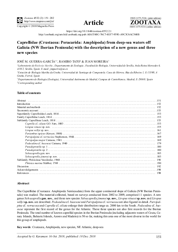 (PDF) Caprellidae (Crustacea: Peracarida: Amphipoda) from the Red Sea ...