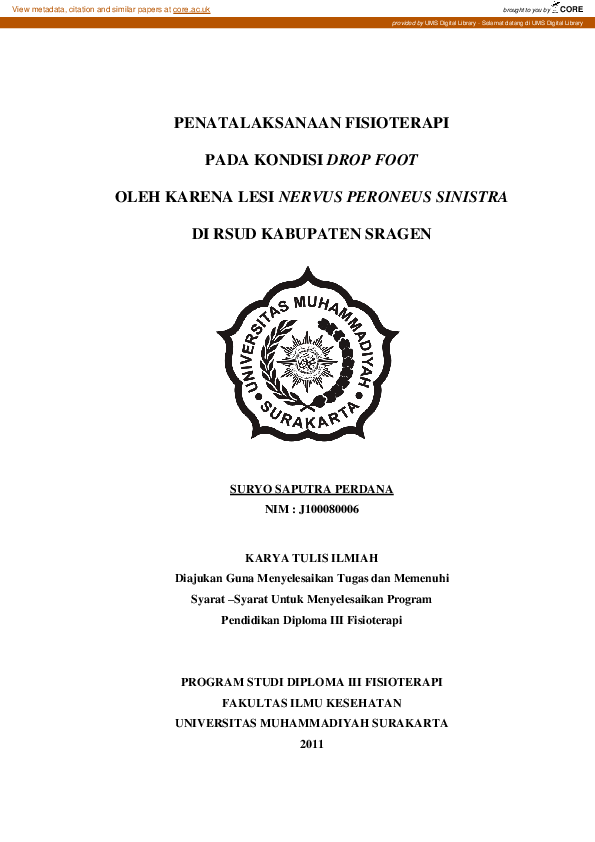 (PDF) Penatalaksanaan Fisioterapi pada Kondisi Drop Foot Oleh Karena Lesi Nervus Peroneus ...