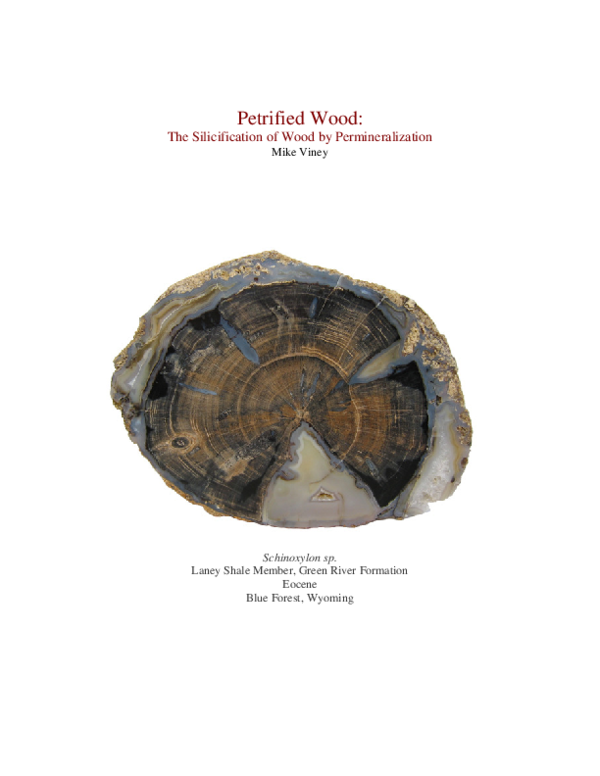 (PDF) Petrified Wood : The Silicification of Wood by Permineralization