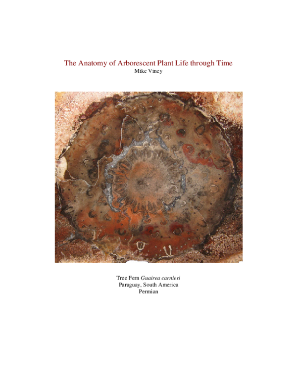 (PDF) The Anatomy of Arborescent Plant Life Through Time