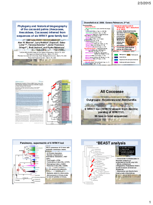 (PDF) Phylogeny and historical biogeography of the cocosoid palms ...