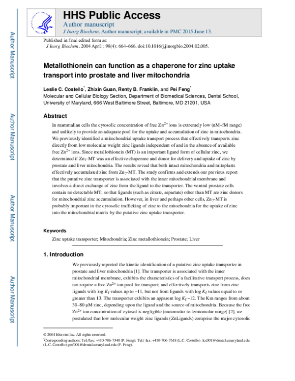 (PDF) Metallothionein as a Zinc Chaperone in Mitochondria