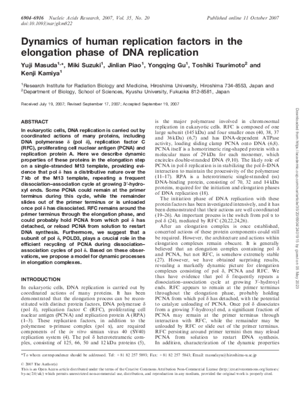 (PDF) Dynamics of human replication factors in the elongation phase of ...
