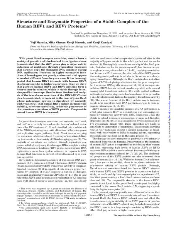(PDF) Structure and Enzymatic Properties of a Stable Complex of the ...