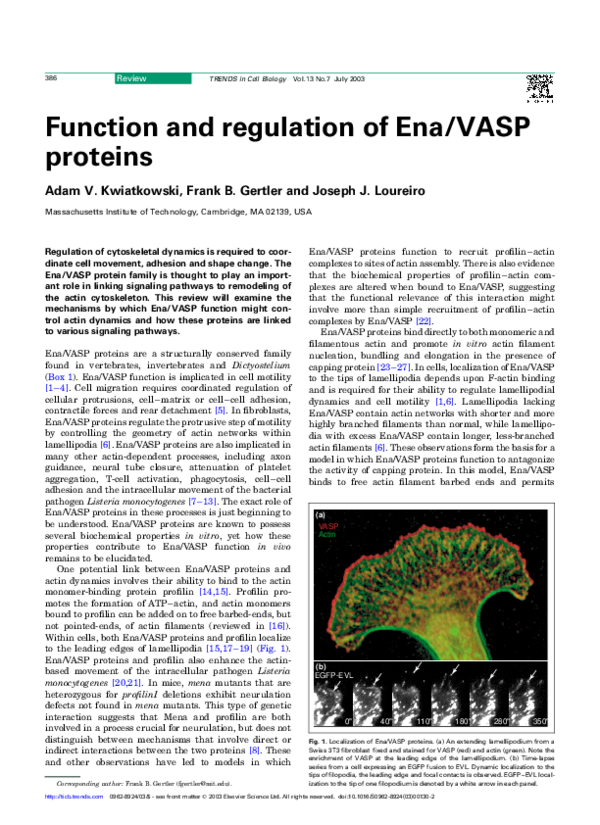 (PDF) Function and regulation of Ena/VASP proteins