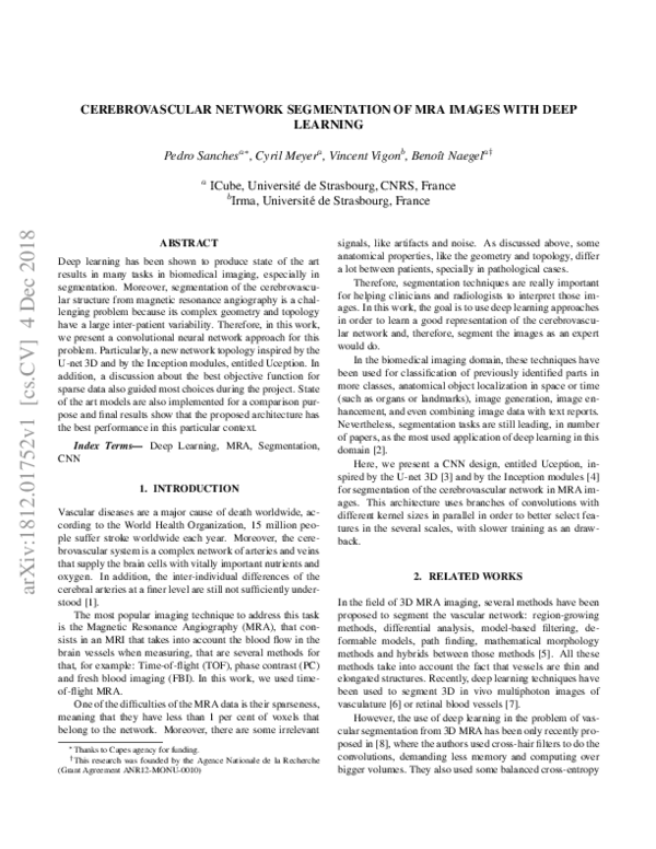 (PDF) Cerebrovascular Network Segmentation on MRA Images with Deep Learning | Pedro Sanches ...
