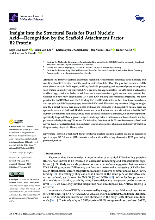 (PDF) Insight into the structural basis for dual nucleic acid ...