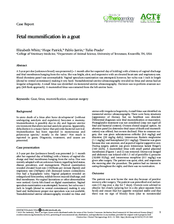 (PDF) Fetal mummification in a goat
