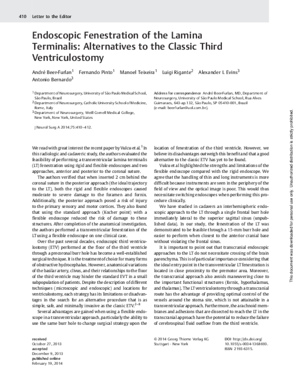 (PDF) Endoscopic Fenestration of the Lamina Terminalis: Alternatives to ...