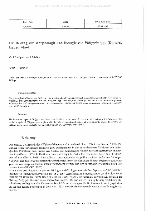 (PDF) Ein Beitrag zur Morphologie und Biologie von Philygria spp. (Diptera, Ephydridae)