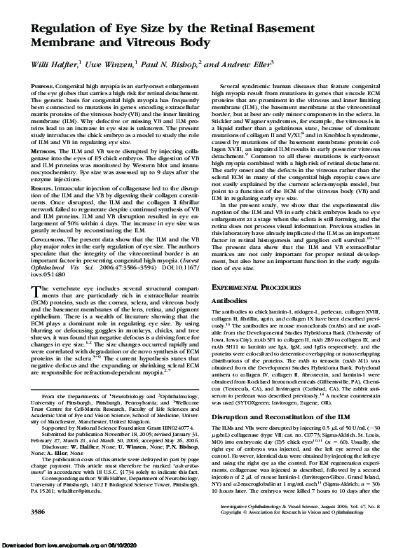 (PDF) Regulation of Eye Size by the Retinal Basement Membrane and ...